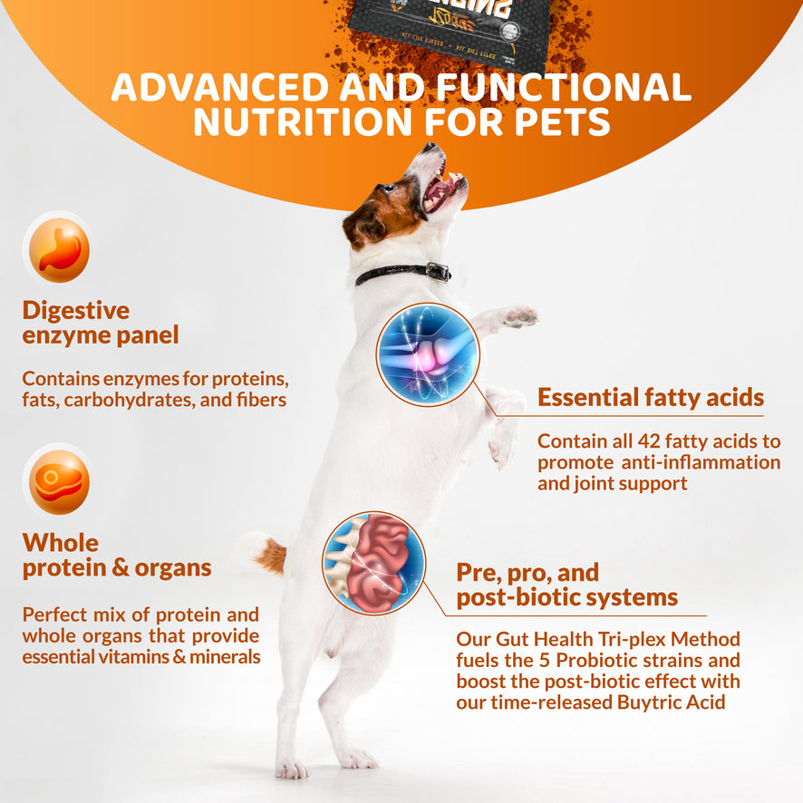 Origins 5-in-1 Fish | Dog Supplement Powder, Dog Food Topper for Gut H ...