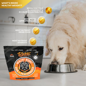 Muscle Building for Dogs: A Complete Guide – Rogue Pet Science
